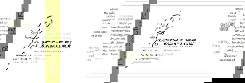 Macon-Fuisse En Vers Chanes | Clos des Rocs | Natural Wine Co